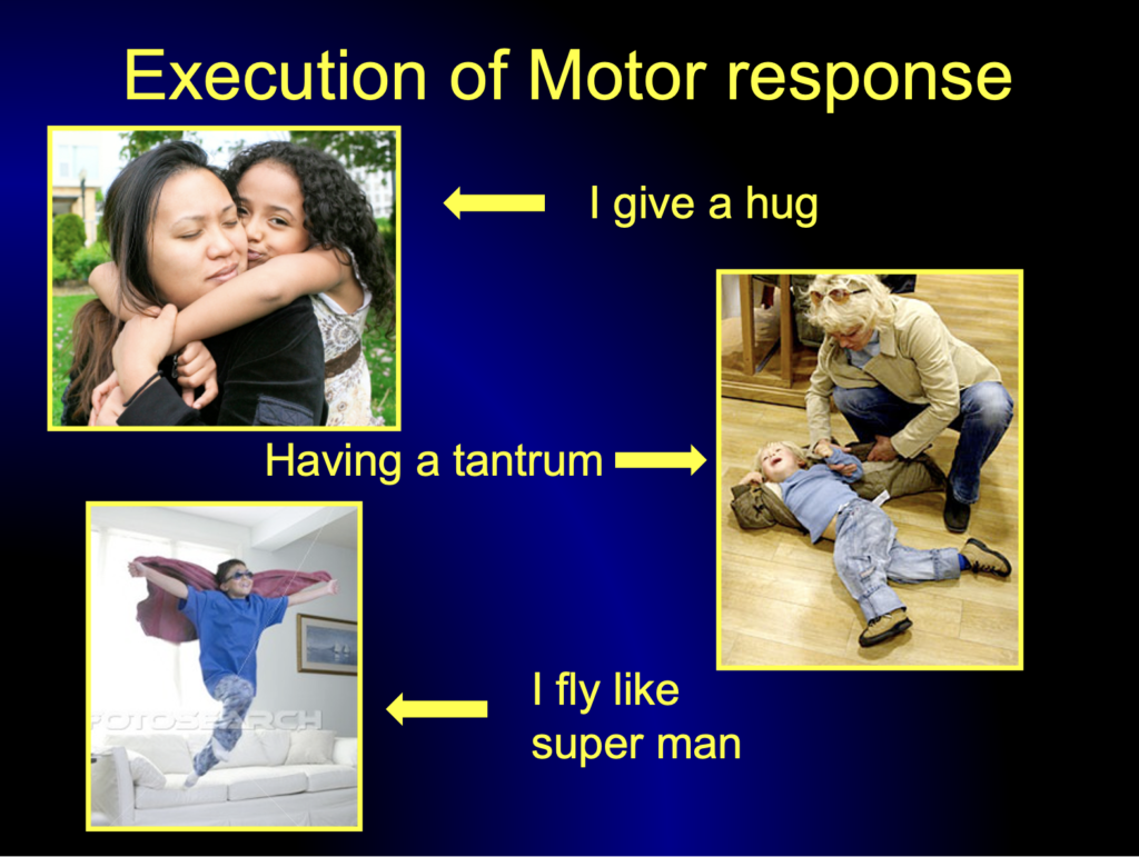 Dual Coded: How the meaning we make through the sensory motor ...